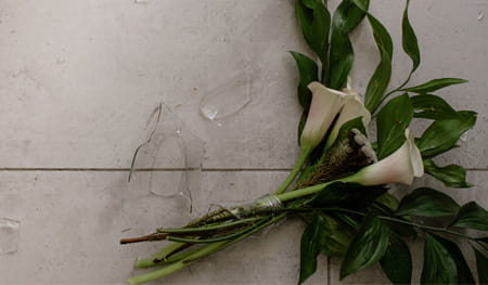 The complete guide to still life photography | photoGuard